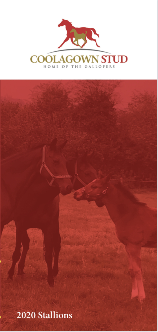 2020 Brochure – Coolagown Stud – Breeding, Foaling, Sales Prep and Boarding