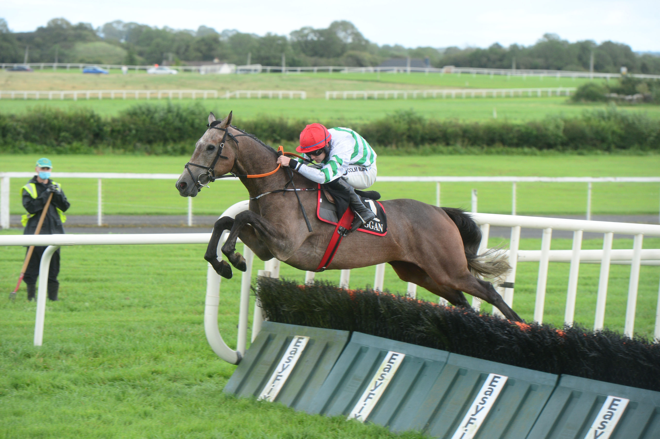Curlew Hill – Coolagown Stud – Breeding, Foaling, Sales Prep and Boarding